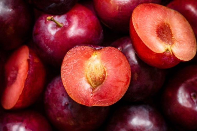 How Can You Detect Plums With Red Inside - Day Nursery