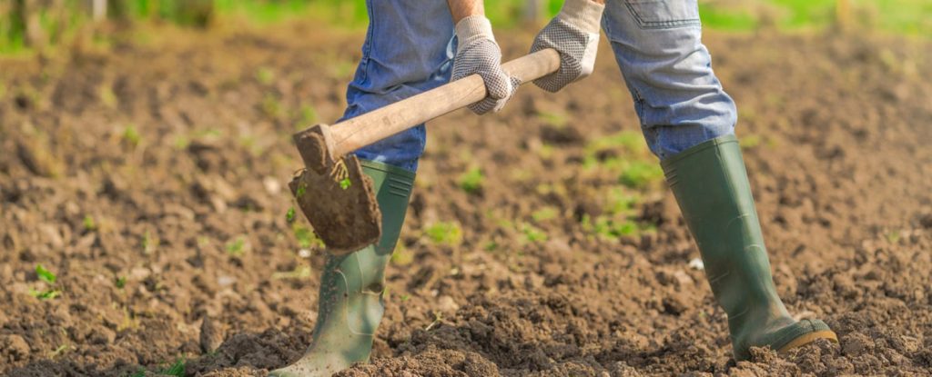 How to Till a Garden Without a Tiller?- Day Nursery